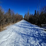 Glenmore Reservoir Loop, Alberta, Canada - 2,606 Reviews, Map | AllTrails