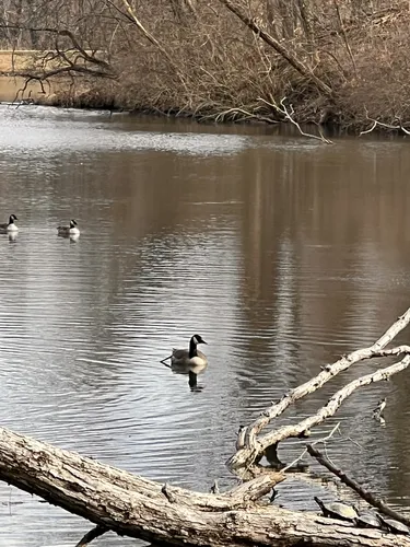 Best Hikes and Trails in Weldon Springs State Park | AllTrails