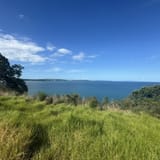 Long Bay - Okura Track, Auckland, New Zealand - 709 Reviews, Map ...