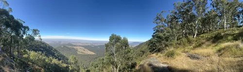 Best Hikes and Trails in Mount Cole State Forest | AllTrails