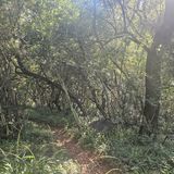 B'sorah Trail, North West, South Africa - 244 Reviews, Map | AllTrails