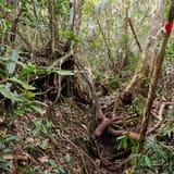 Gunung Rajah via KKB, Selangor, Malaysia - 74 Reviews, Map | AllTrails