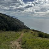 Timber Top and Boronda Trail, California - 750 Reviews, Map | AllTrails
