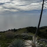 Timber Top and Boronda Trail, California - 750 Reviews, Map | AllTrails