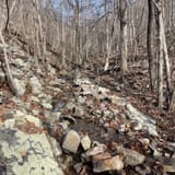 Signal Knob Loop Trail, Virginia - 1,023 Reviews, Map | AllTrails