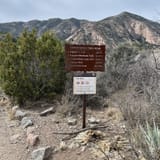 Basin Loop Trail, Texas - 1,035 Reviews, Map | AllTrails