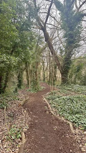 Best Hikes and Trails in Tooting Bec Common | AllTrails