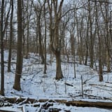 Overall Run Falls via Tuscarora-Overall Run Trail, Virginia - 1,021 ...