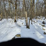 Overall Run Falls via Tuscarora-Overall Run Trail, Virginia - 1,021 ...