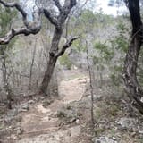 Hamilton Pool Park Trail, Texas - 379 Reviews, Map | AllTrails