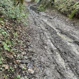 Gomshall Mill and Netley Park Circular, Surrey, England - 219 Reviews ...