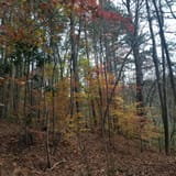 Henderson Park Loop, Georgia - 1,535 Reviews, Map | AllTrails