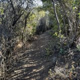 Holy Jim Canyon Trail, California - 411 Reviews, Map | AllTrails