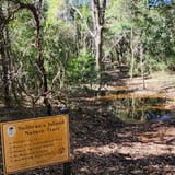Sullivan’s Island Nature Trail, South Carolina - 116 Reviews, Map ...