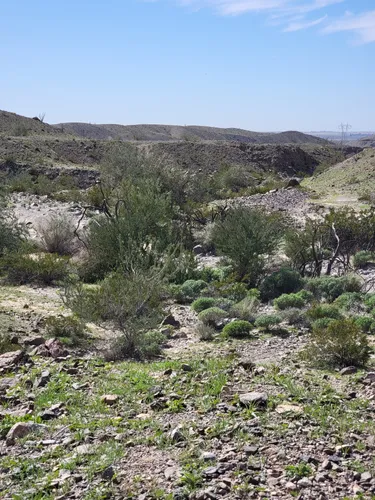 Best Trail Running Trails in Yuma | AllTrails