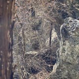 Coon Ridge Trail, Oklahoma - 357 Reviews, Map | AllTrails