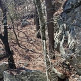 Coon Ridge Trail, Oklahoma - 357 Reviews, Map | AllTrails