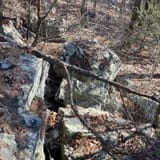 Coon Ridge Trail, Oklahoma - 357 Reviews, Map | AllTrails