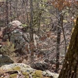 Coon Ridge Trail, Oklahoma - 357 Reviews, Map | AllTrails