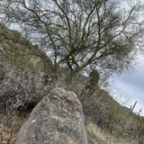 Bartlett Reservoir Trail , Arizona - 345 Reviews, Map | AllTrails