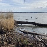 White Rock Lake Trail, Texas - 4,720 Reviews, Map | AllTrails