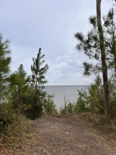 Best Hikes and Trails in Neuse River Recreation Site | AllTrails