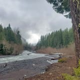 Skookum Flats Trail, Washington - 981 Reviews, Map | AllTrails