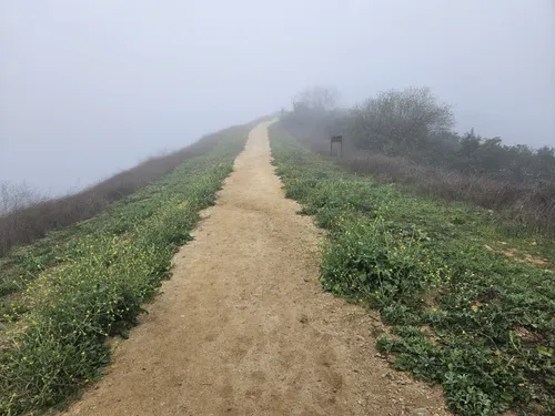 Best Hikes and Trails in Summitridge Park | AllTrails