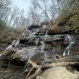 Yellow Branch Falls Trail, South Carolina - 2,514 Reviews, Map | AllTrails