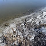 Gander Mountain Loop Trail, Illinois - 514 Reviews, Map | AllTrails