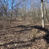 Gander Mountain Loop Trail, Illinois - 514 Reviews, Map | AllTrails