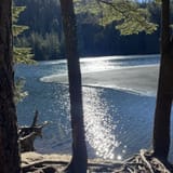 Sumas Mountain Trail, British Columbia, Canada - 549 Reviews, Map ...