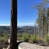 Sumas Mountain Trail, British Columbia, Canada - 549 Reviews, Map ...