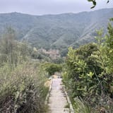 Murphy Ranch Trail, California - 3,638 Reviews, Map | AllTrails