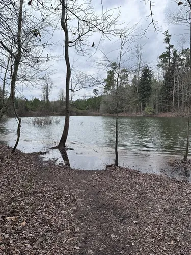 Best Hikes and Trails in Redcliffe Plantation State Historic Site ...