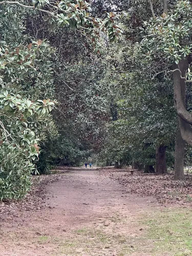 Best Hikes and Trails in Redcliffe Plantation State Historic Site ...