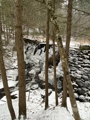 Best Hikes and Trails in Cook's Canyon Wildlife Sanctuary | AllTrails