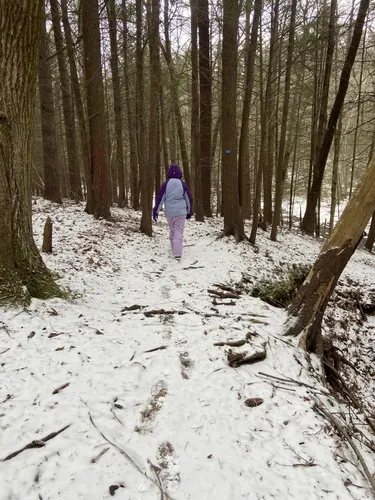 Best Hikes and Trails in Cook's Canyon Wildlife Sanctuary | AllTrails