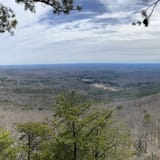 Pinnacle Trail to Kings Pinnacle, North Carolina - 2,790 Reviews, Map ...