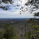 Pinnacle Trail to Kings Pinnacle, North Carolina - 2,790 Reviews, Map ...