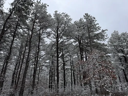 Best Hikes and Trails in Brookhaven State Park | AllTrails