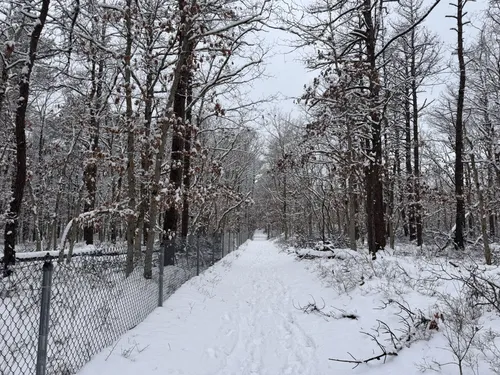 Best Hikes and Trails in Brookhaven State Park | AllTrails