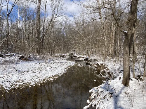 Best Hikes and Trails in Sweet Arrow Reserve | AllTrails