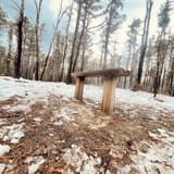 Batsto Lake Trail, New Jersey - 1,583 Reviews, Map | AllTrails