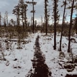 Batsto Lake Trail, New Jersey - 1,583 Reviews, Map | AllTrails