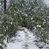 Batsto Lake Trail, New Jersey - 1,583 Reviews, Map | AllTrails