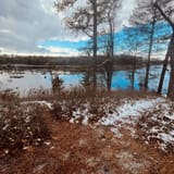 Batsto Lake Trail, New Jersey - 1,583 Reviews, Map | AllTrails