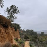 Encinitas Ranch Trail, California - 859 Reviews, Map | AllTrails
