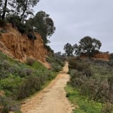 Encinitas Ranch Trail, California - 859 Reviews, Map | AllTrails