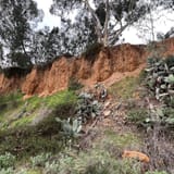 Encinitas Ranch Trail, California - 859 Reviews, Map | AllTrails